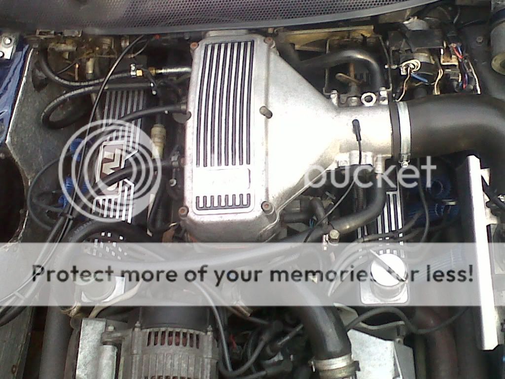 Out in the sun and she started cutting out HELP!! - Page 1 - Chimaera ...