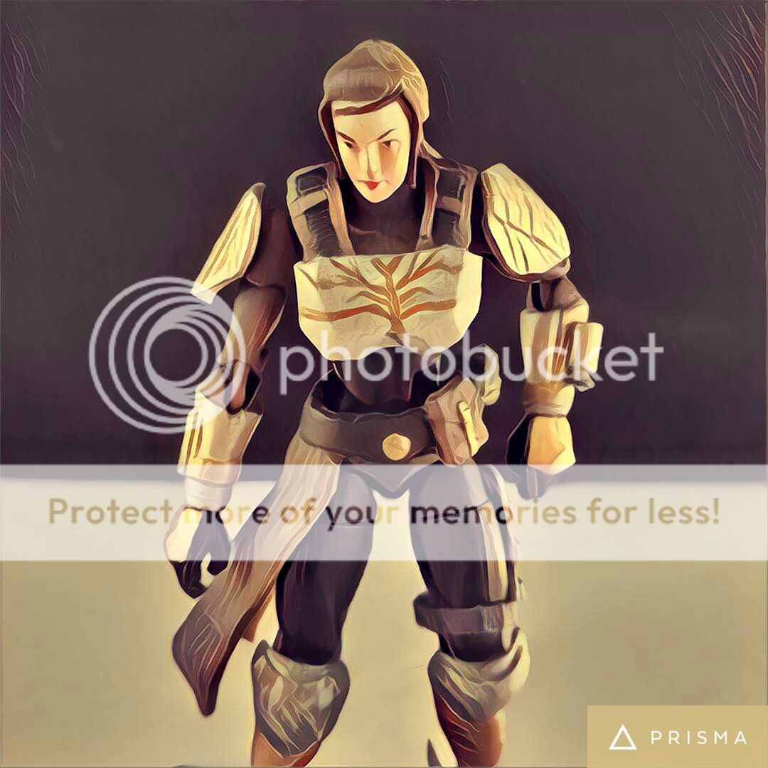 Destiny Rise of Iron JOLDER - HissTank.com